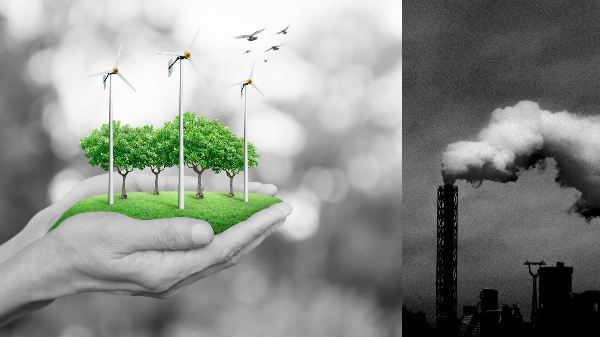 Decarbonizzazione: Cos’è, Come Funziona e la Situazione in Italia